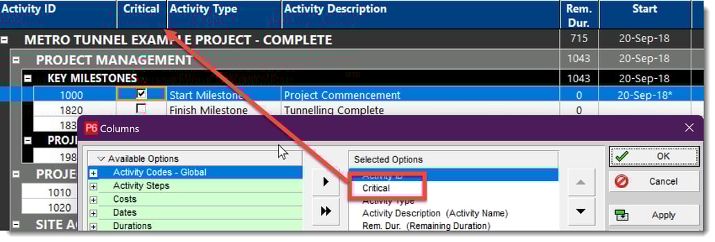 How to show show critical activities